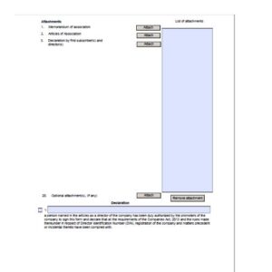 Spice Form - Simple Form for Incorporating Company | Provenience